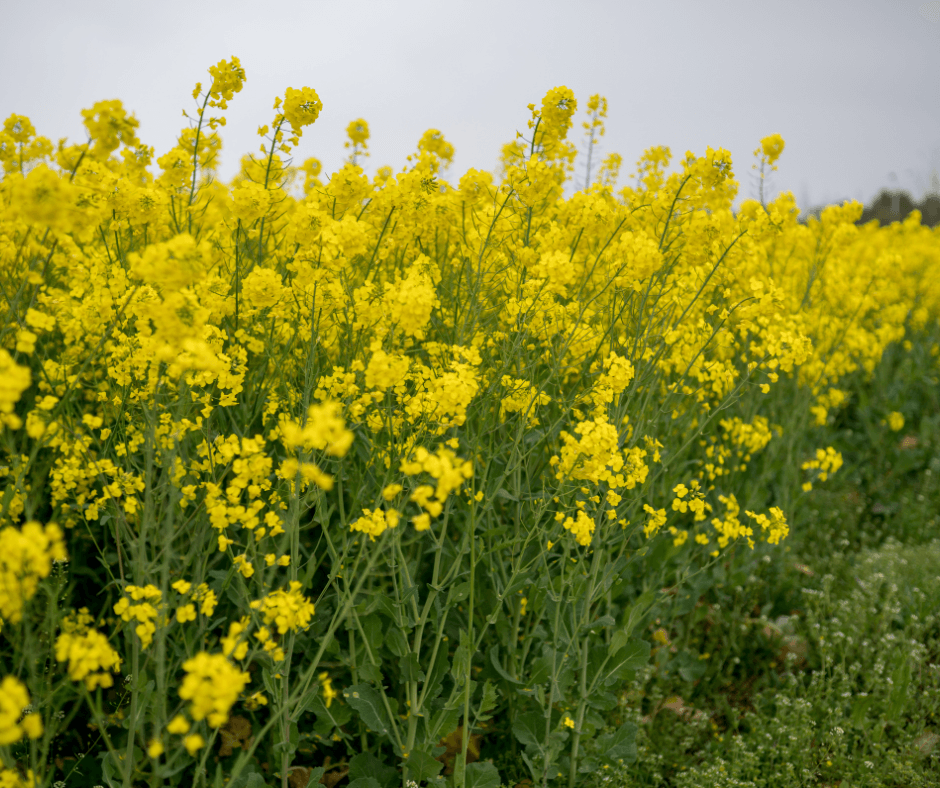 Client Success with Klimato | Carbon Reporting Stories