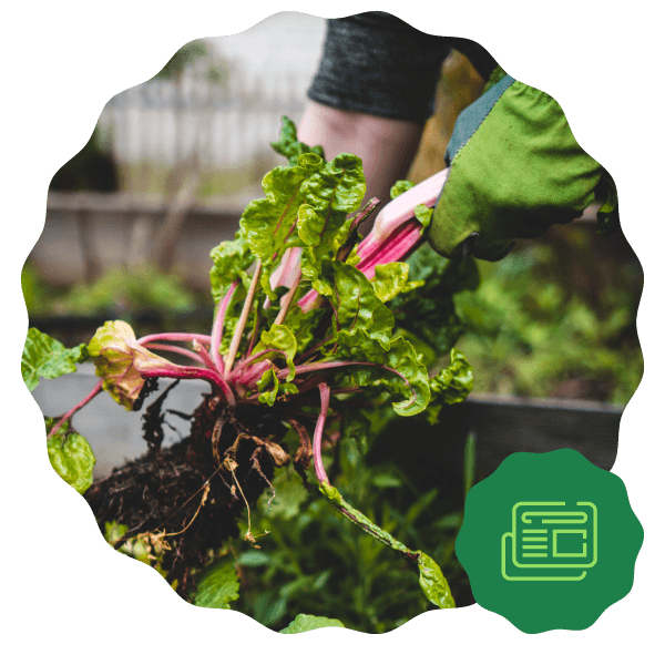 Sustainability for hotels: How Klimato can help